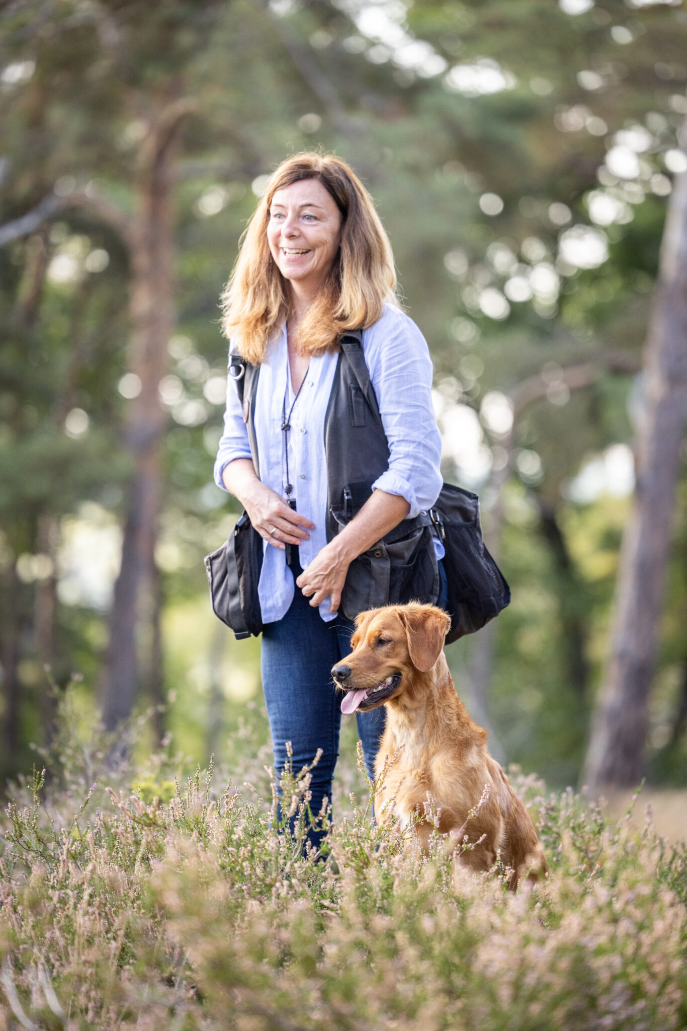 Kontakt – Wonderful Golden Hunter – Golden Retriever aus Arbeitslinie